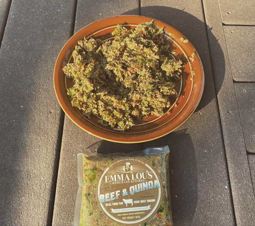 Fuel Your Dog's Health with Nutritious Dog Food: A Recipe for Vibrant ...